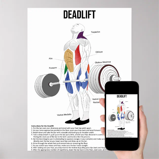 Deadlift - Exercise - Muscle Anatomy Chart | Zazzle