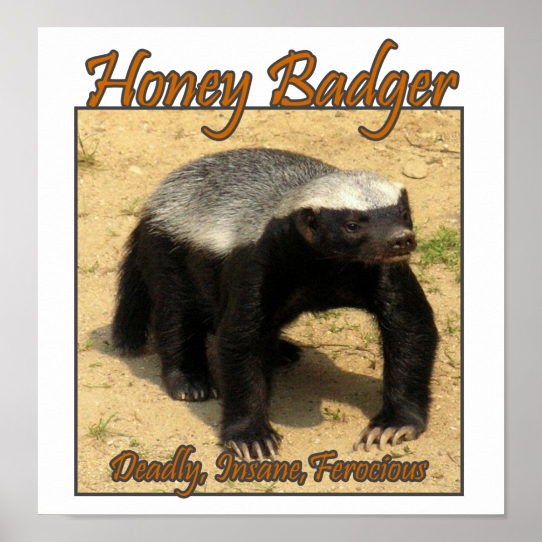 Deadly, Insane, Ferocious Honey Badger Print | Zazzle