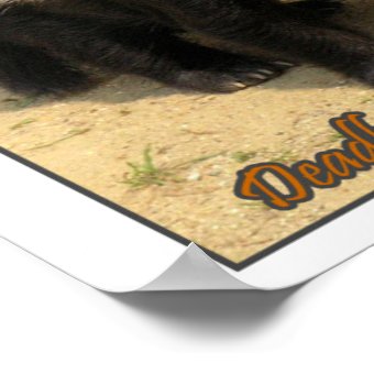 Deadly, Insane, Ferocious Honey Badger Print | Zazzle