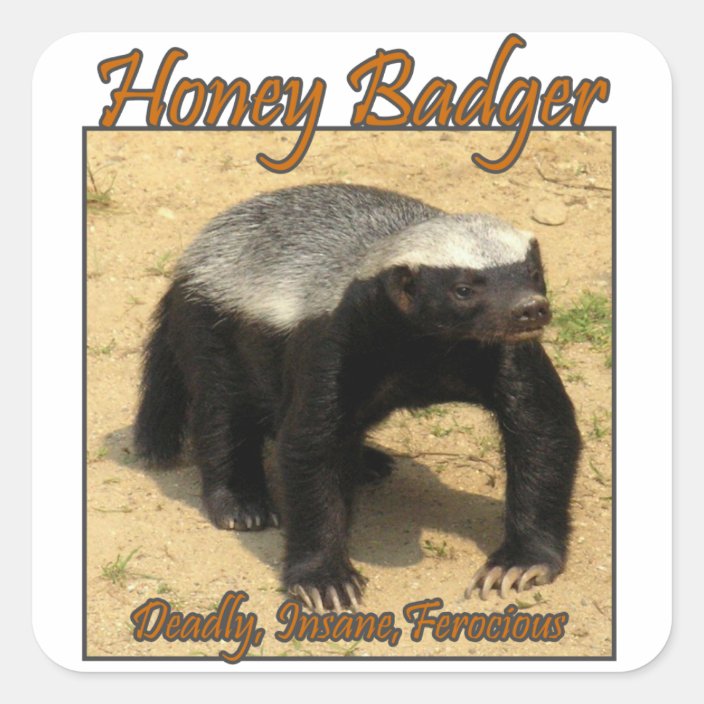 Deadly, Insane, Ferocious Honey Badger Sticker | Zazzle.com