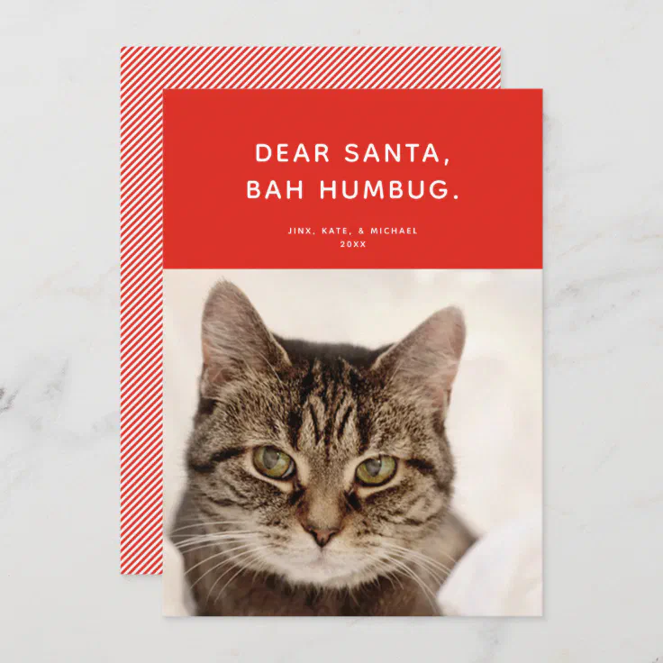 Dear Santa, Bah Humbug. Funny Holiday Photo | Zazzle