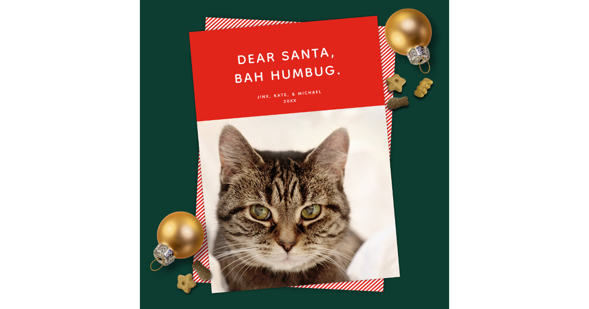Dear Santa, Bah Humbug. Funny Holiday Photo | Zazzle