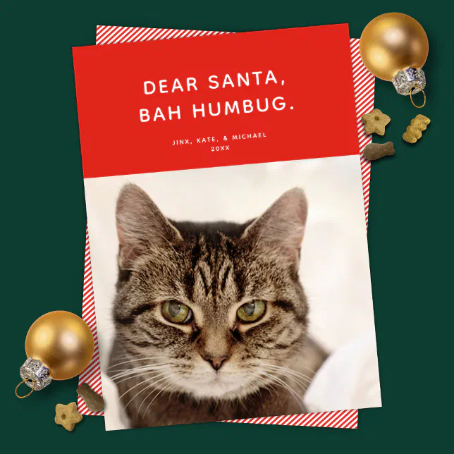 Dear Santa, Bah Humbug. Funny Holiday Photo | Zazzle