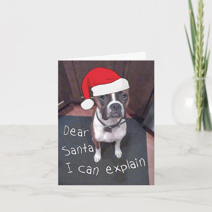 Dear Santa I Can Explain Holiday Card | Zazzle