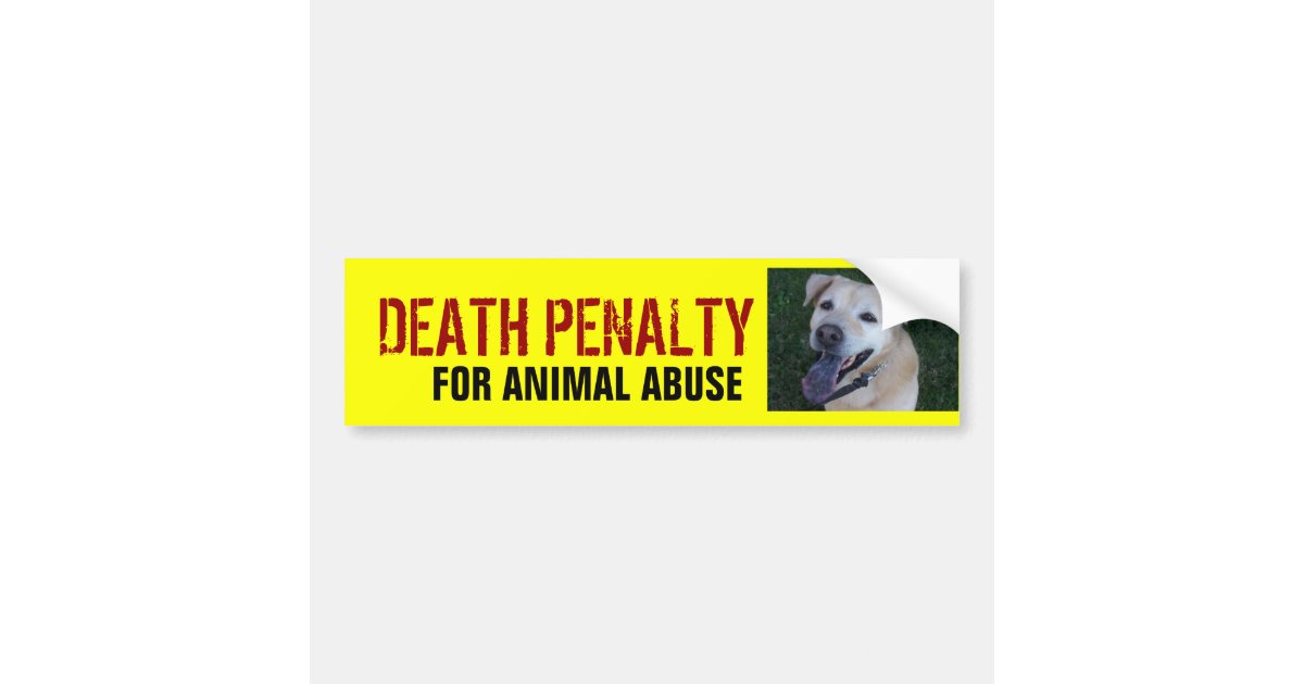 DEATH PENALTY FOR ANIMAL ABUSE BUMPER STICKER | Zazzle