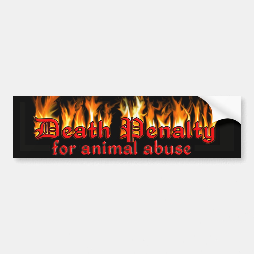 'DEATH PENALTY FOR ANIMAL ABUSE' in FLAMES Bumper Sticker | Zazzle