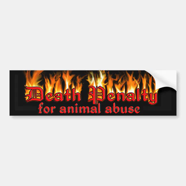 'DEATH PENALTY FOR ANIMAL ABUSE' in FLAMES Bumper Sticker | Zazzle