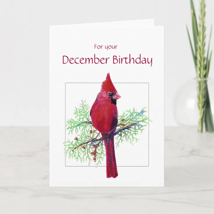 December Birthday Cardinal Bird, Nature Card | Zazzle