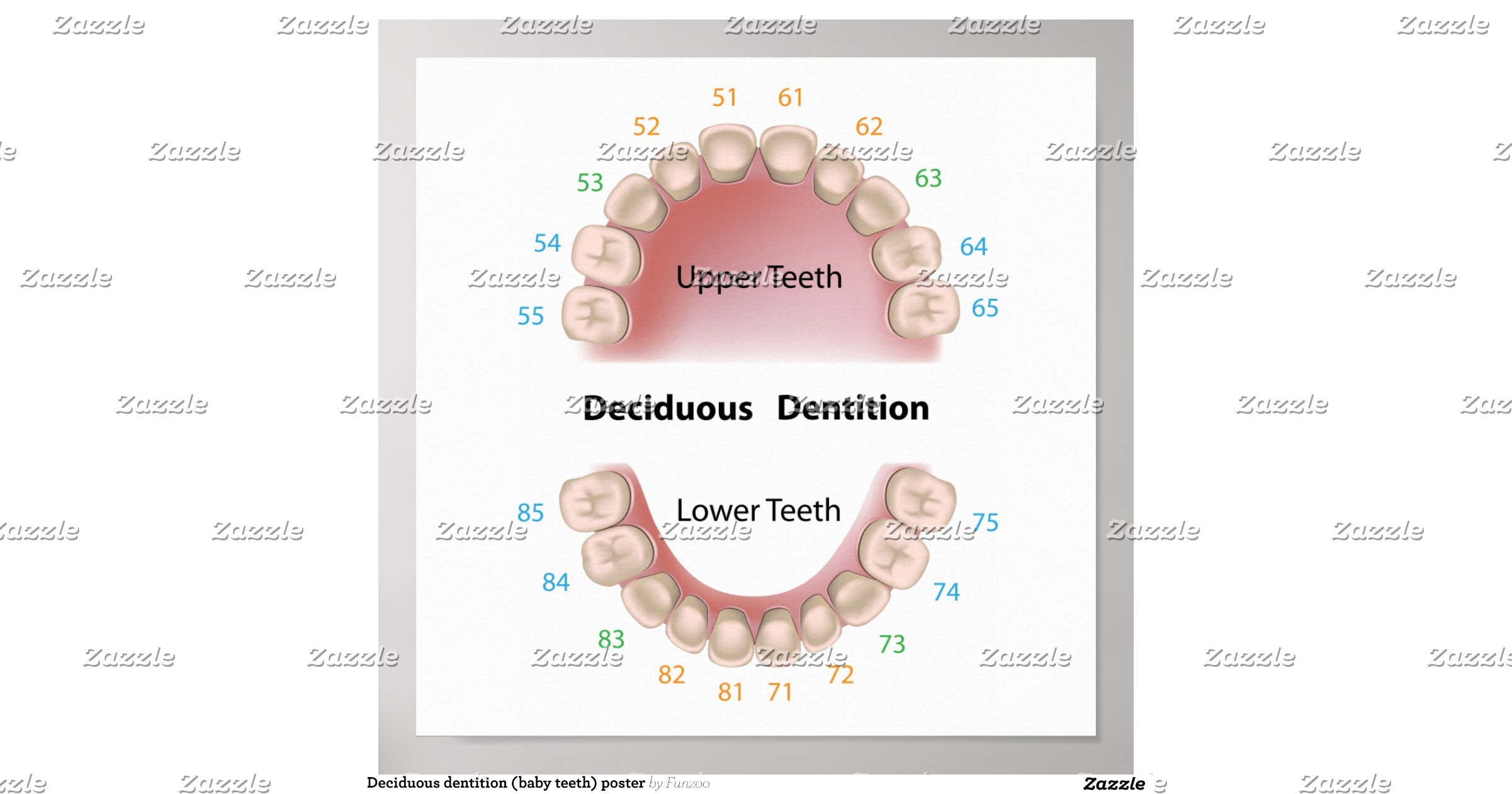 deciduous_dentition_baby_teeth_poster-rab47e64a69da444ea69ecdb946cda4b6 ...