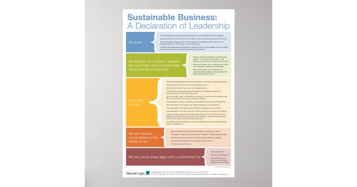 Declaration of Leadership Poster | Zazzle