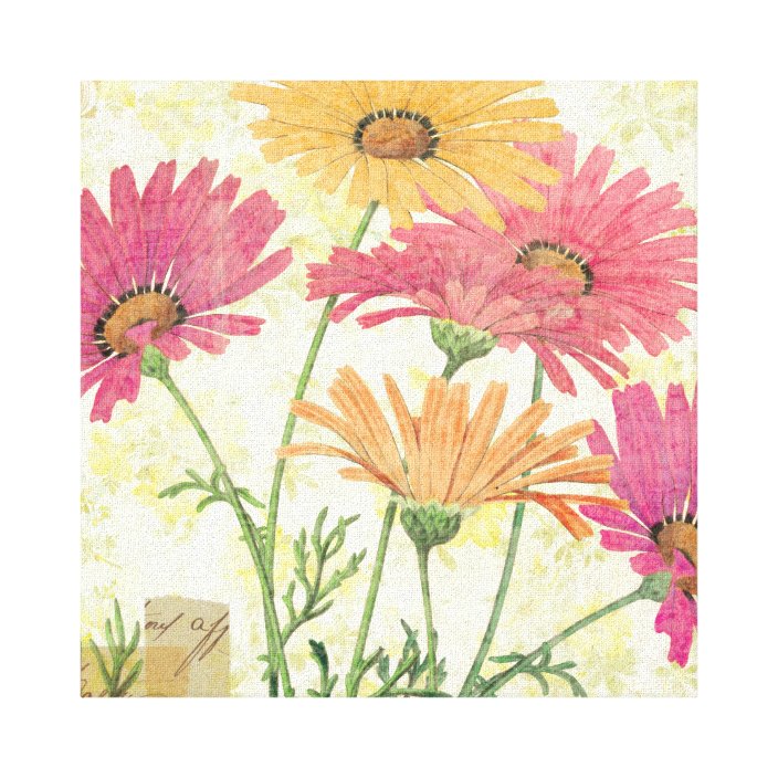 Decorative Daisies Canvas Print | Zazzle.com