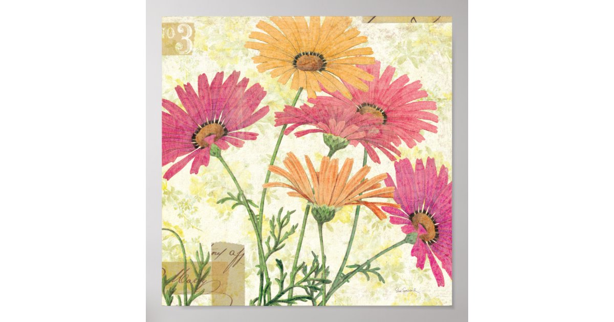 Decorative Daisies Poster | Zazzle