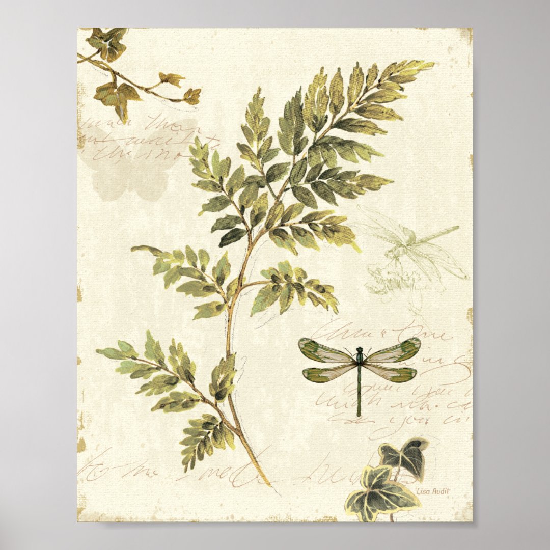 Decorative Ferns and a Dragonfly Poster | Zazzle