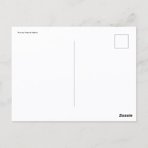 Decorative Rabbit Postcard | Zazzle