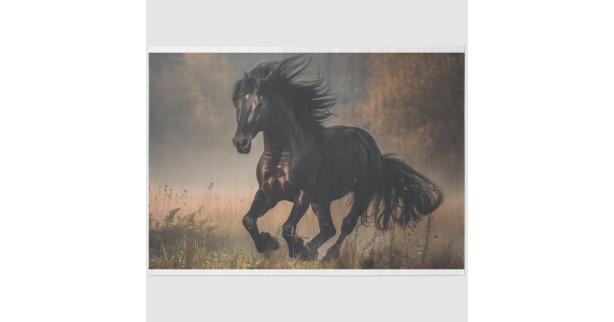 Decoupage Black Stallion Running Field Tissue Paper | Zazzle