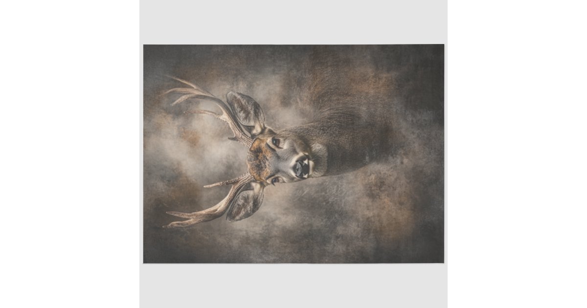 Decoupage Wildlife Deer Portrait Large Antlers Tissue Paper | Zazzle