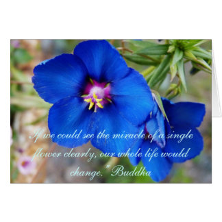 Blue Flowers With Quotes. QuotesGram
