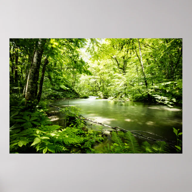 Deep Into the Forest Poster | Zazzle