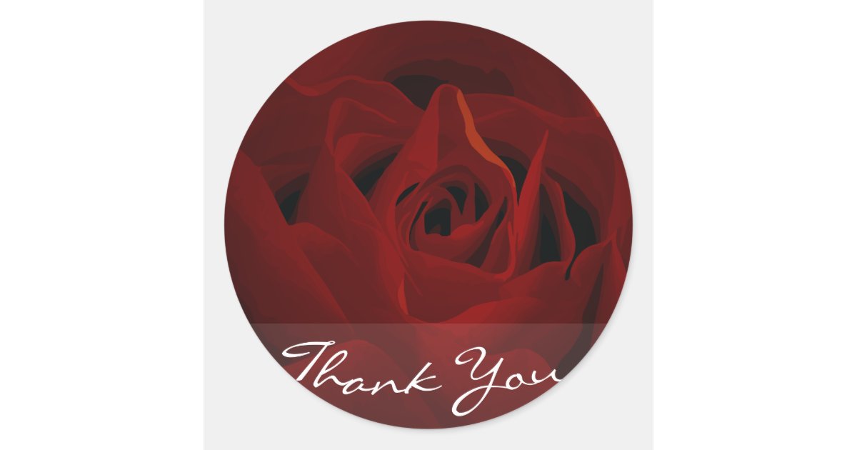 Deep Red Rose Thank You Sticker | Zazzle