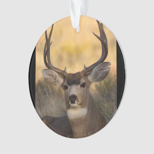 deer buck ornament | Zazzle