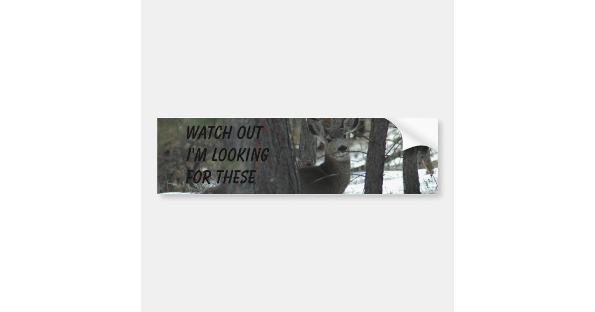 DEER BUMPER STICKER | Zazzle