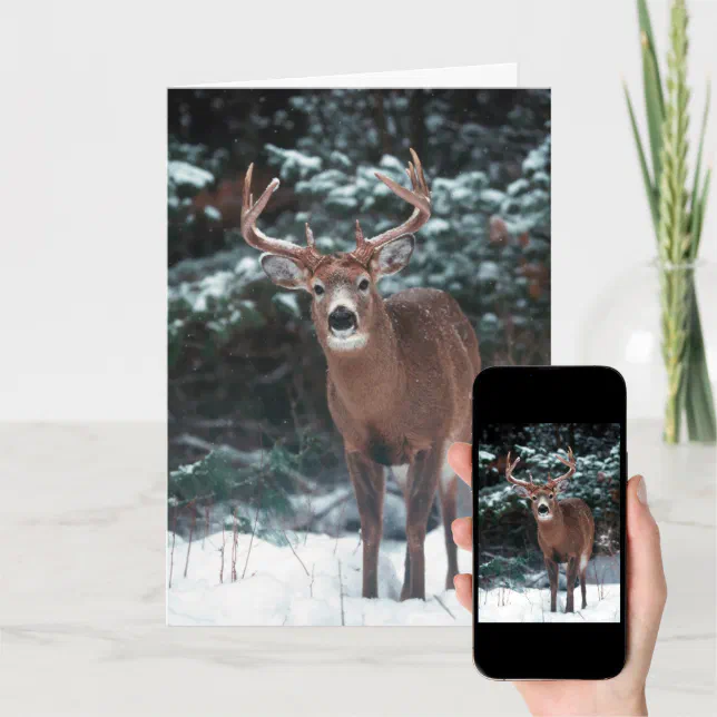 Deer Christmas Card | Zazzle