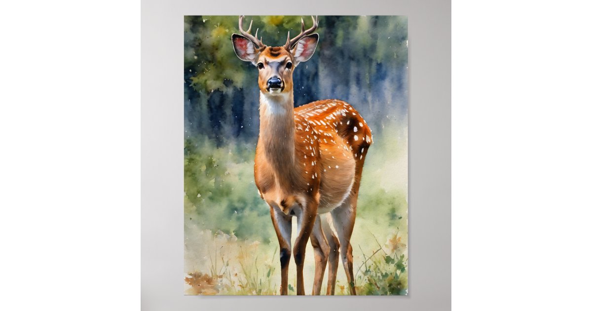 Deer Collection: Japanese Sika Deer Poster | Zazzle
