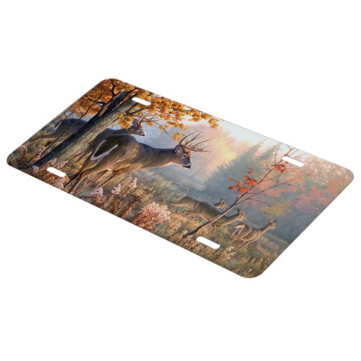 Deer Family Playing In Field License Plate | Zazzle