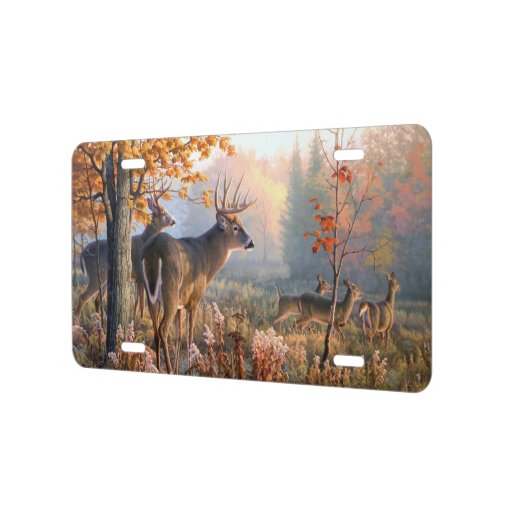 Deer Family Playing In Field License Plate | Zazzle