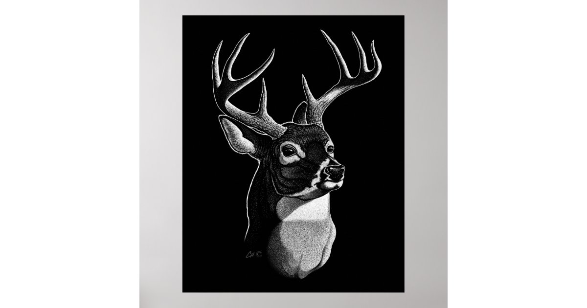 Deer Head Scratchboard-style Poster | Zazzle