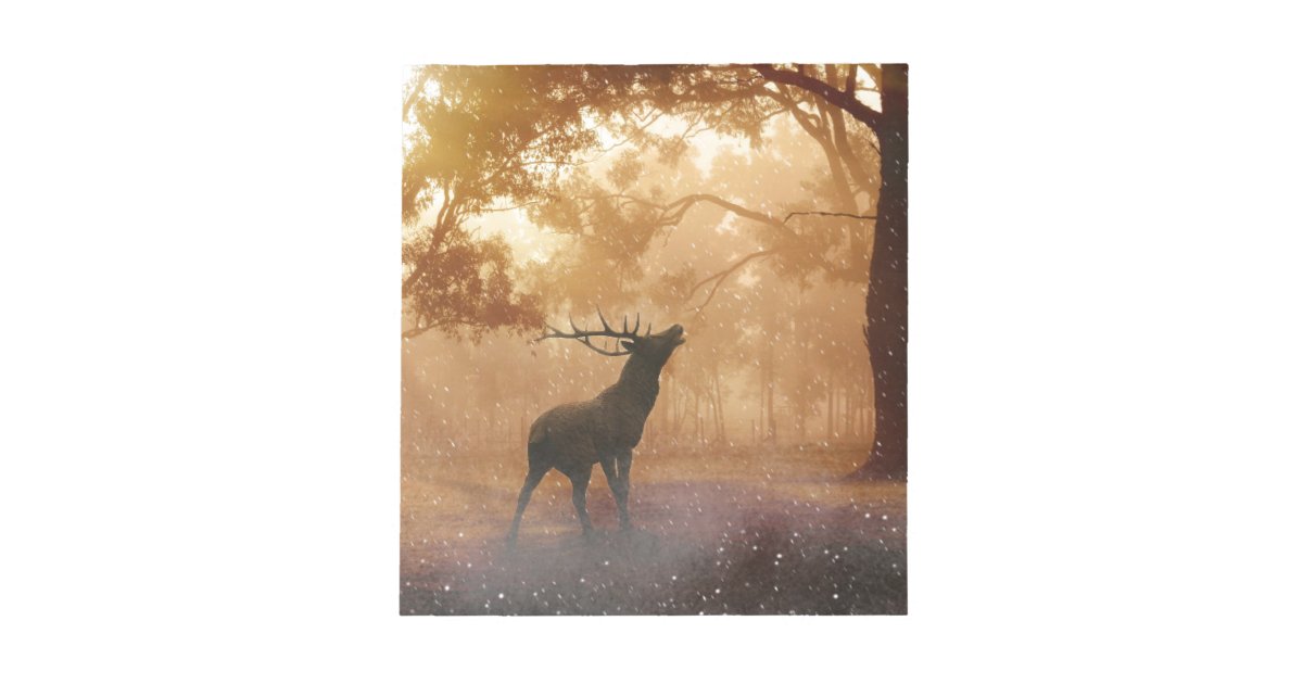 Deer In The Forest Notepad | Zazzle