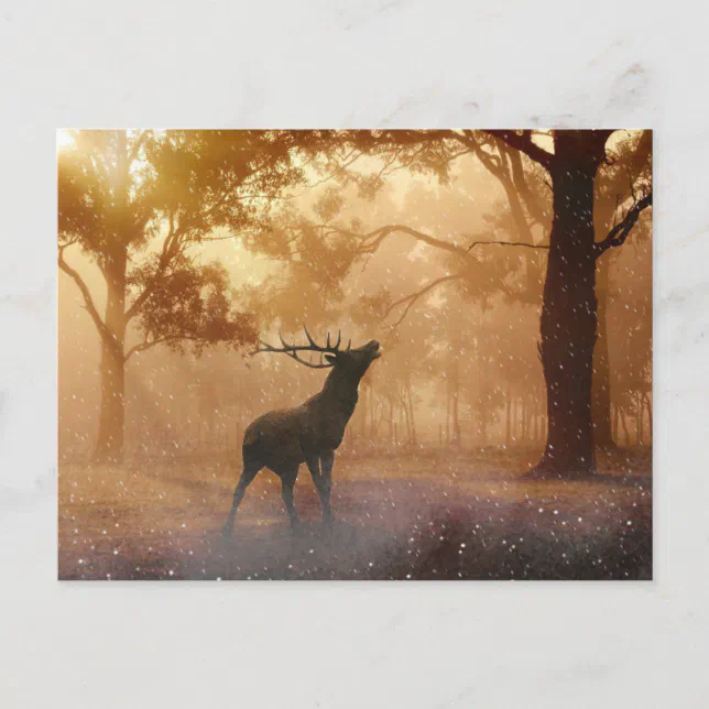 Deer In The Forest Postcard | Zazzle