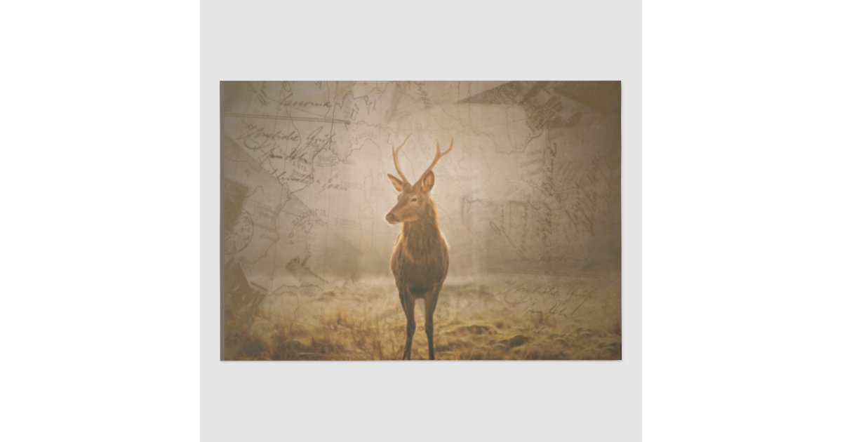 Deer in the forest tissue paper | Zazzle