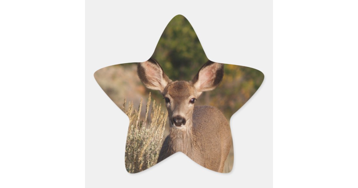 Deer Star Sticker | Zazzle