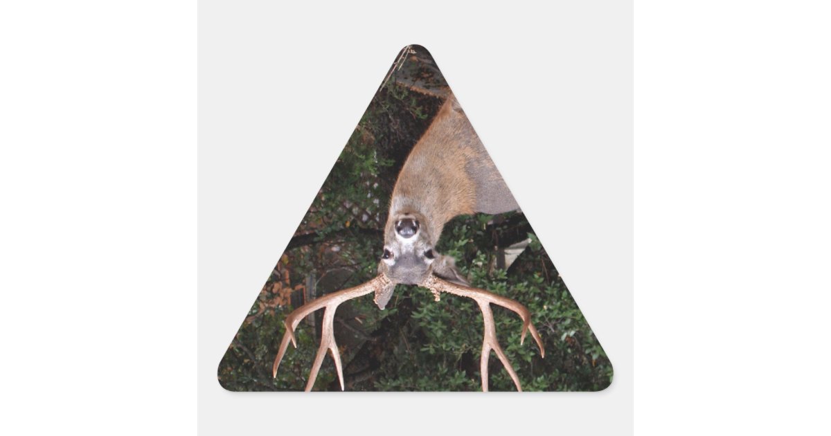 Deer Triangle Sticker | Zazzle