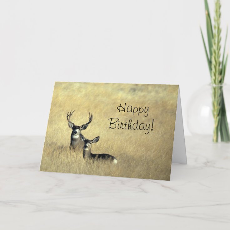 Deer with Antlers Happy Birthday Day Card | Zazzle