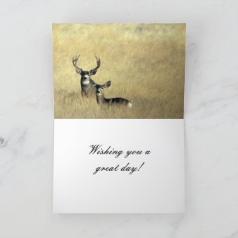 Deer with Antlers Happy Birthday Day Card | Zazzle