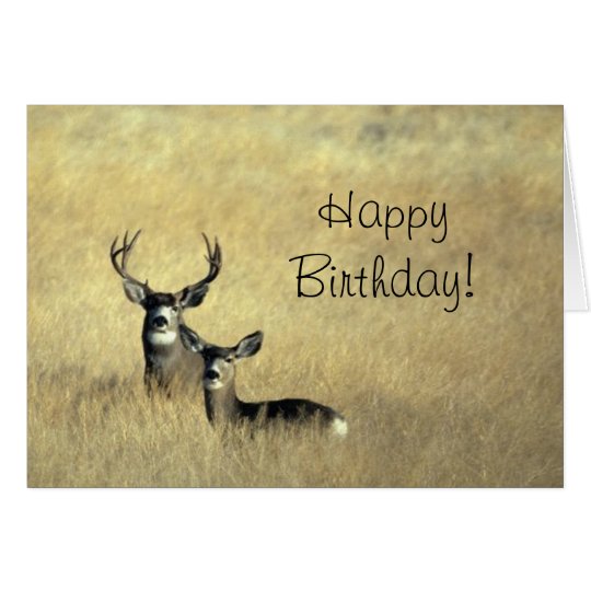 Deer with Antlers Happy Birthday Day Card | Zazzle.com