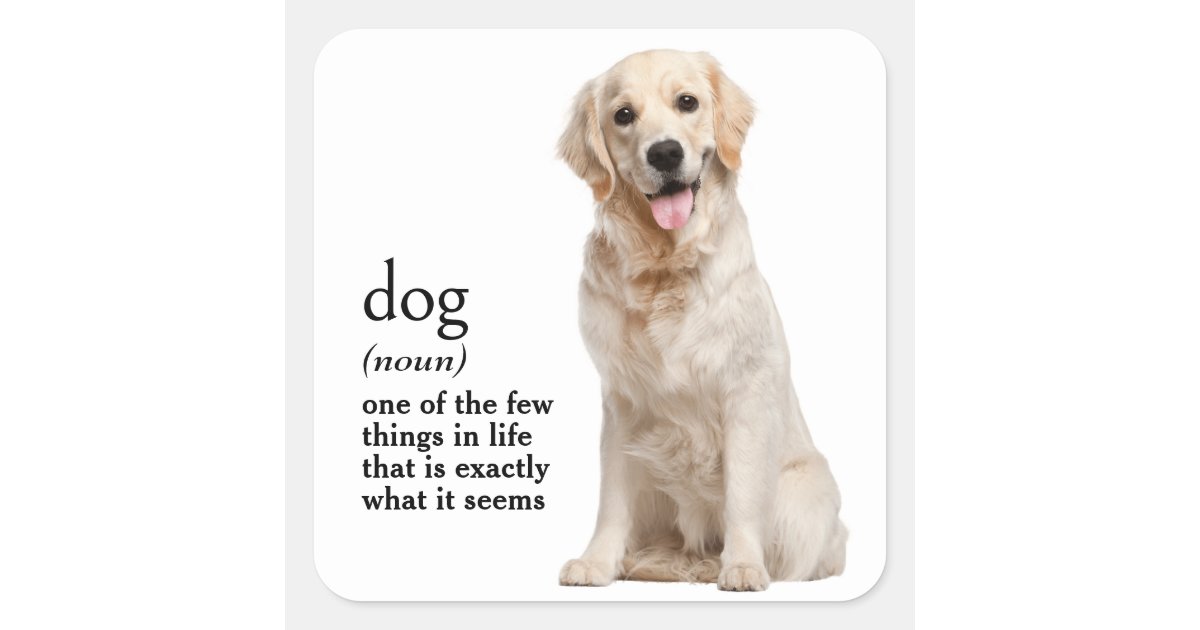 Definition Of a DOG Square Sticker | Zazzle