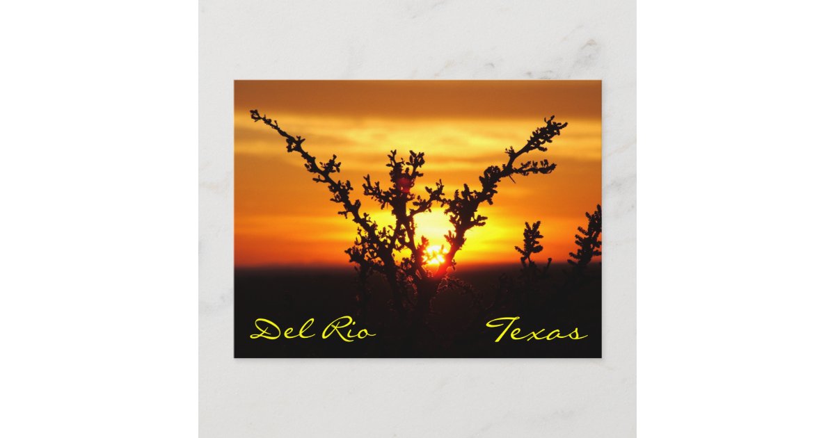 Del Rio Texas Brush Sunset Postcard | Zazzle