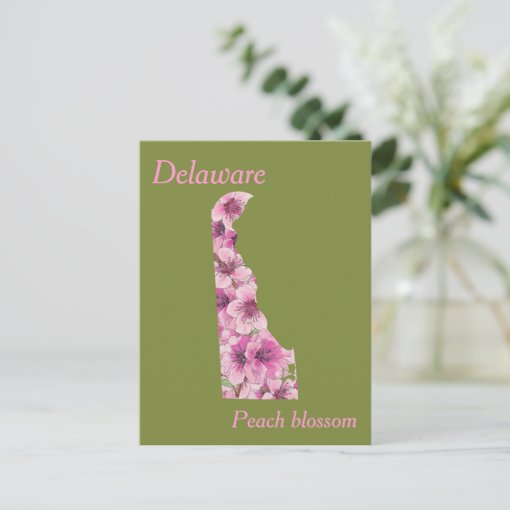 Delaware State Flower Collage Map Postcard | Zazzle