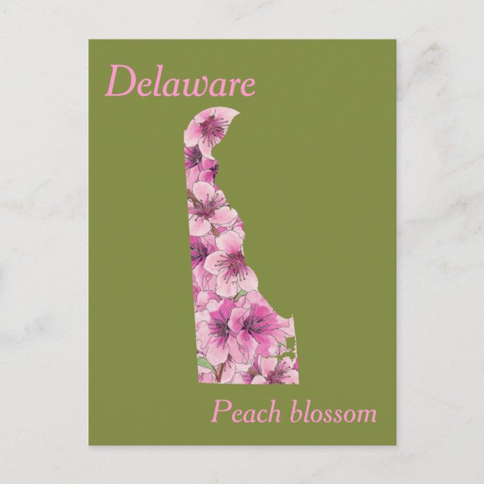 Delaware State Flower Collage Map Postcard | Zazzle.com