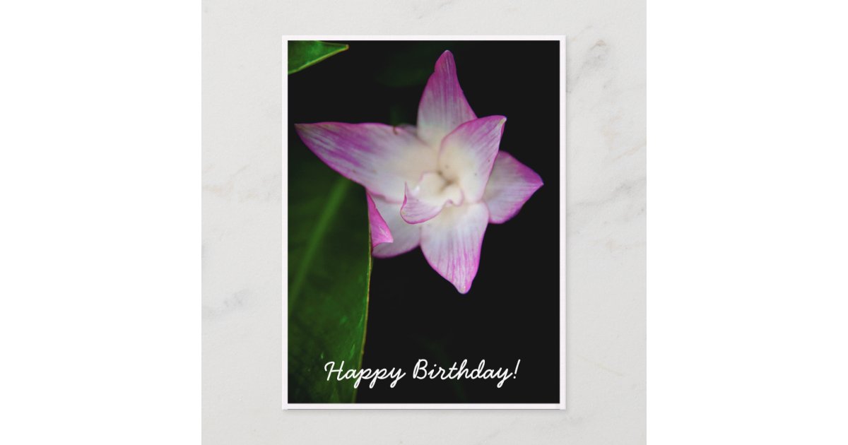 Delicate Pink Flower Happy Birthday Postcard | Zazzle