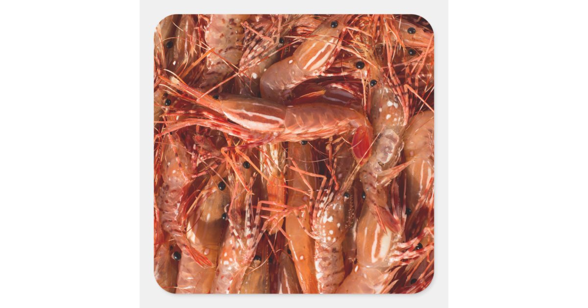 Delicious Prawns Square Sticker | Zazzle