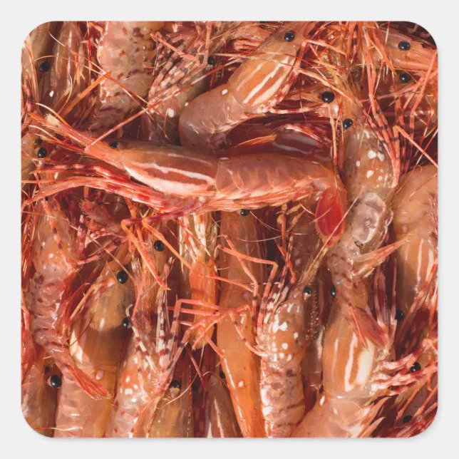 Delicious Prawns Square Sticker | Zazzle