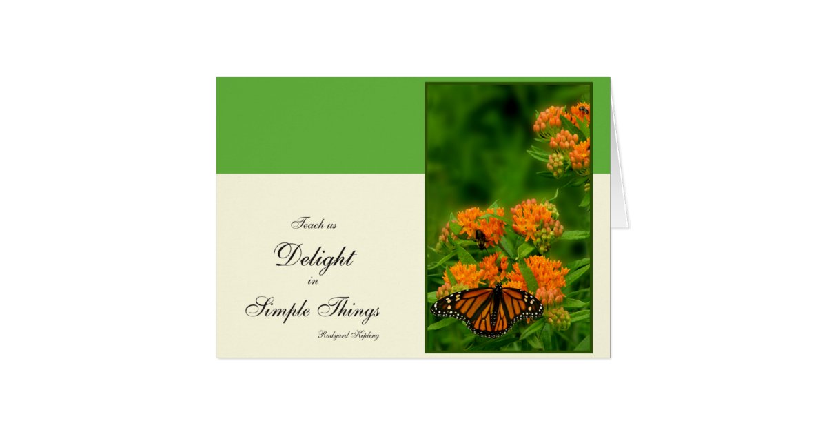 Delightful Butterfly Greeting Card | Zazzle