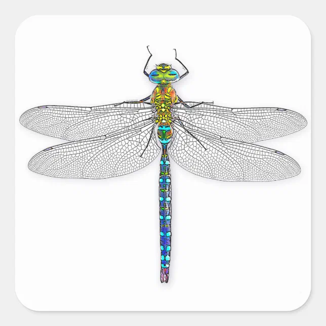 Delightful Dragonfly Square Sticker | Zazzle
