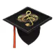 Delightful Tune - Gold Graduation Cap Topper | Zazzle