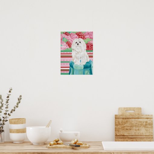 Della Rose Maltese Poster | Zazzle