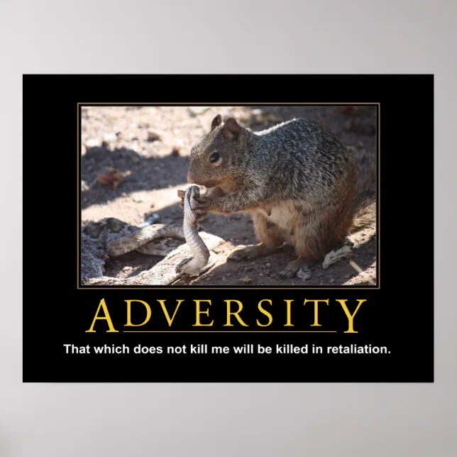 Demotivational Poster: Adversity Poster | Zazzle